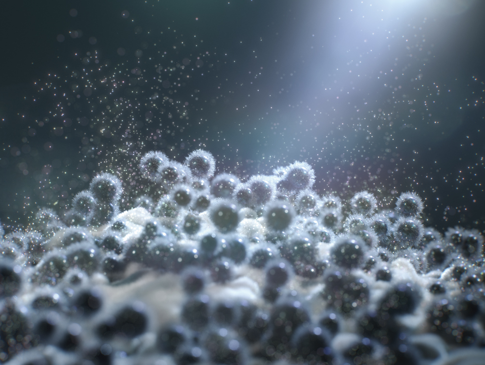 Fermented for 240 hours